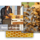 Create Reality - AEGIS